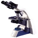 Magnum Binocular Compound Microscope
