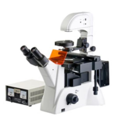 Ceti Versus Trinocular Epi-Fluorescence Inverted Microscope