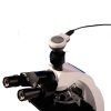 Ceti - Medline Scientific