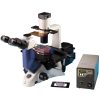 Ceti Inverso TC-100 LED Inverted Biological Epi-Fluorescence Microscope