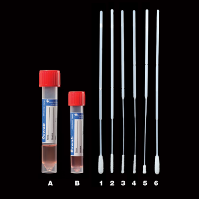 Deltalab DeltaSwab ViCUM® Flow-Packed Snappable Polystyrene & Nylon ...